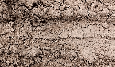 Waarom gebruik je zaaigrond?